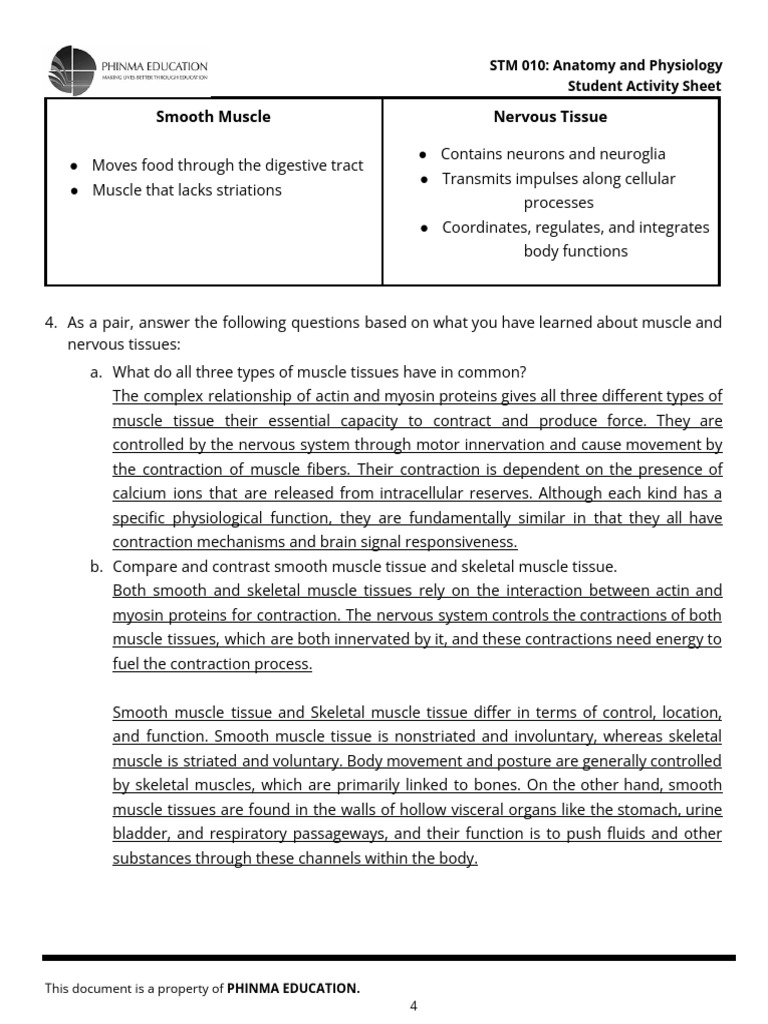 1stQ-Performance Task1-Lab Activity 1 (Pair Work) | PDF | Muscle | Muscle Contraction