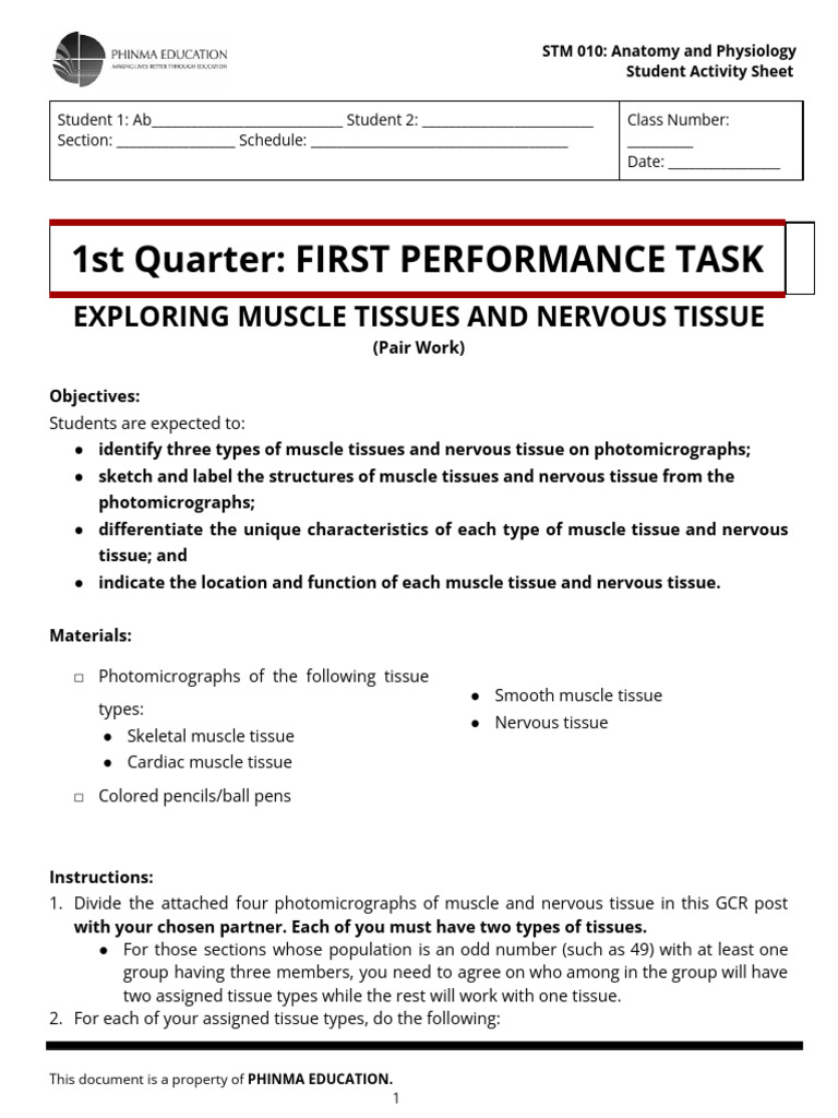 1stQ-Performance Task1-Lab Activity 1 (Pair Work) | PDF | Muscle | Muscle Contraction