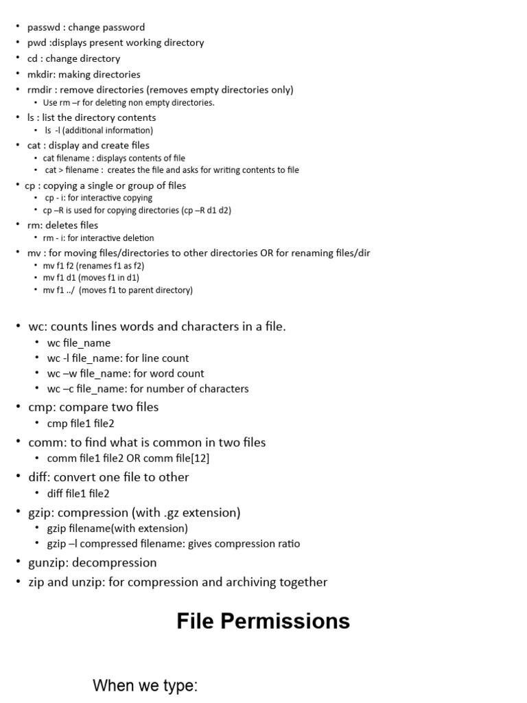 Lab 2 Commands Pdf Computer File Filename 8264