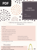 Sterile Urine Specimen Collection Guide | PDF | Urine | Infection