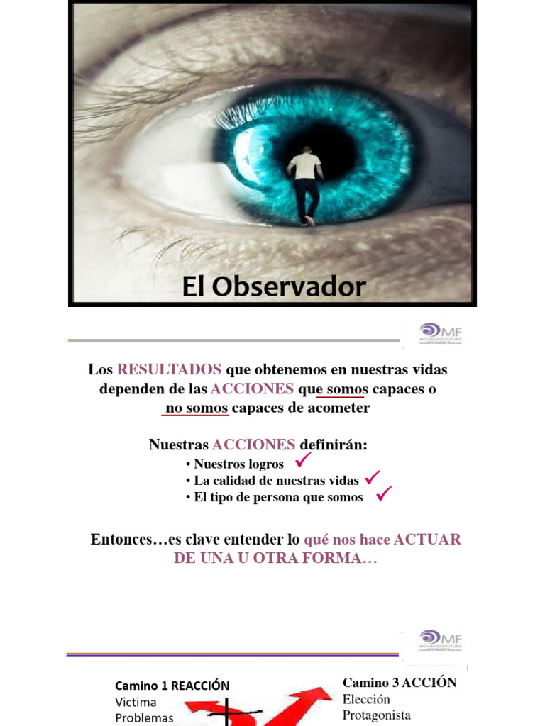 Claves para Transformar tu Observación | PDF | Aprendizaje | Las emociones