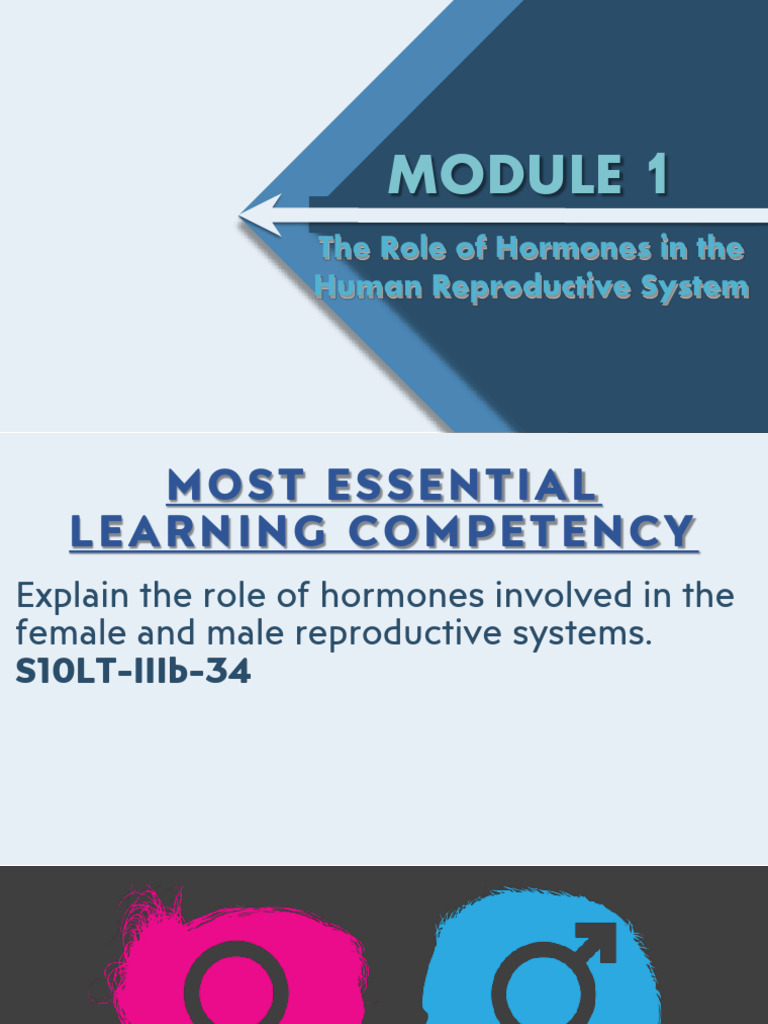 3Q Module 1 Male and Female Reproductive Systems 1 | PDF | Luteinizing Hormone | Reproductive System