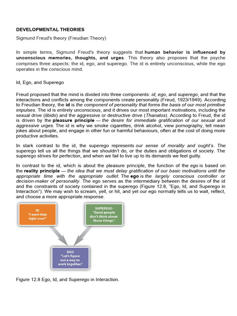 Developmental Theories of Learning | PDF