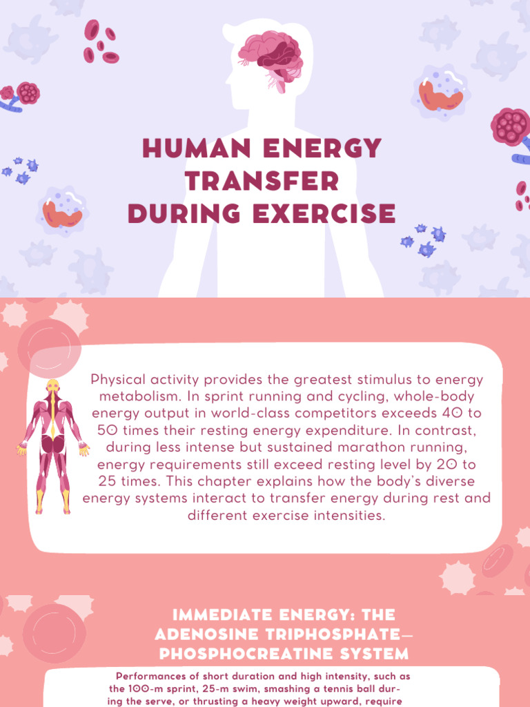 Energy Transfer in Human Exercise | PDF | Wellness | Science & Mathematics