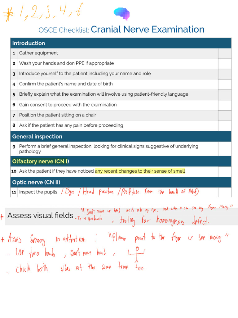 CN Examination | Download Free PDF | Ophthalmology | Nervous System