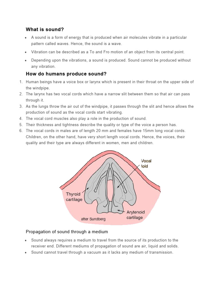 Class 8 Sound Pdf Sound Pitch Music