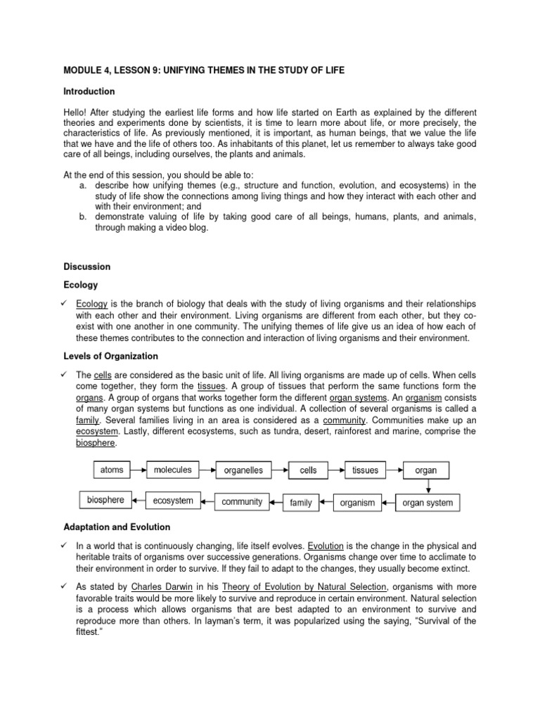 Module 4 Lesson 9 | PDF