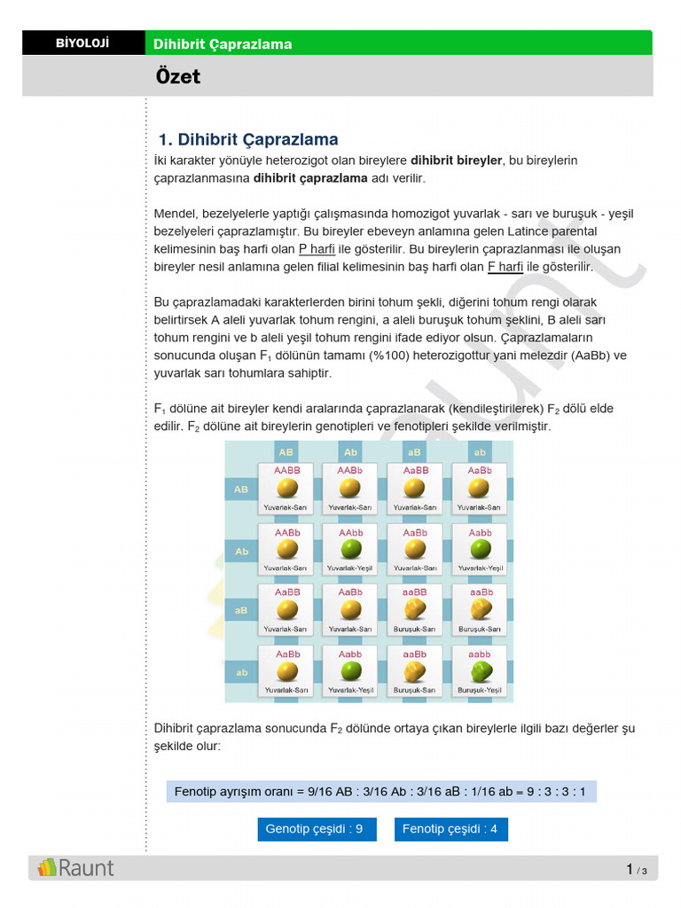 Dihibrit Caprazlama Ozet Raunt | PDF