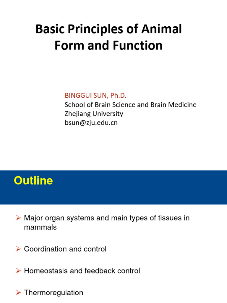 The Basic Principles of Animal Form and Function | PDF | Epithelium ...