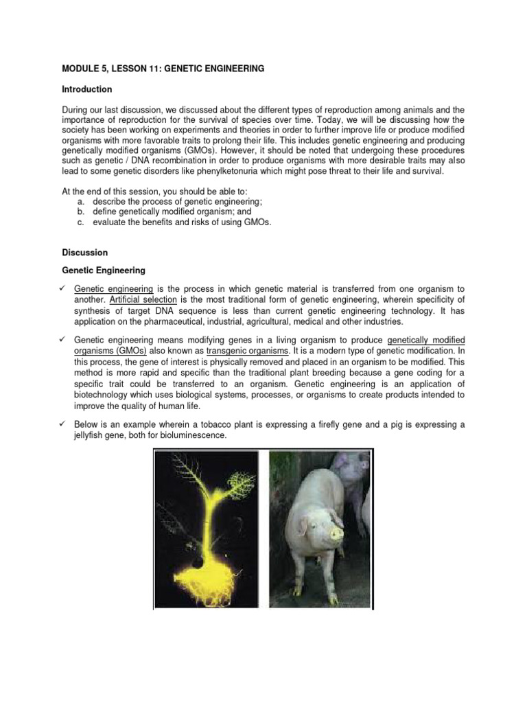 Module 5 Lesson 11 | PDF | Genetic Engineering | Genetically Modified ...