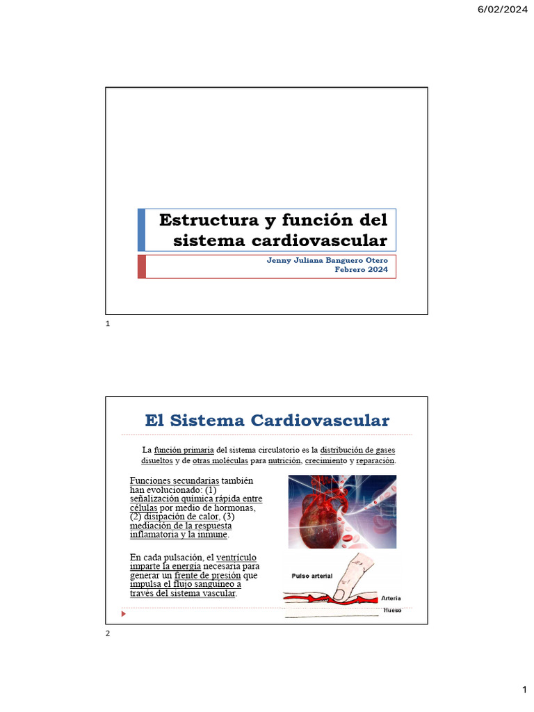 Estructura y Función Del Sistema Cardiovascular, Parte I. | Descargar ...