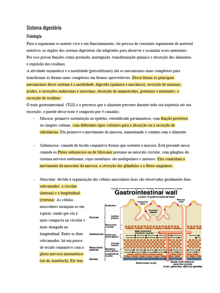 Sistema Digestório Pdf Trato Gastrointestinal Sistema Digestivo