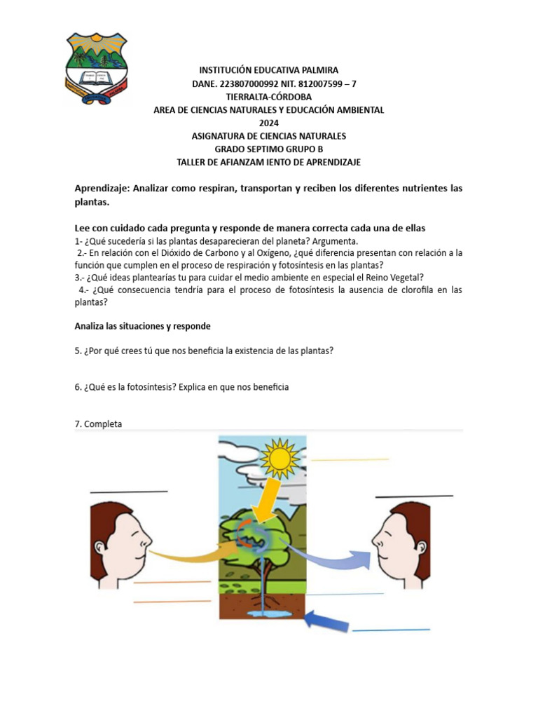 Taller de Fotosíntesis y Respiración Vegetal | PDF
