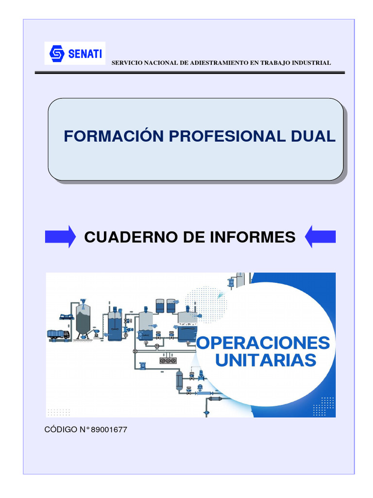 Infome 2 - Karen Rojas | PDF