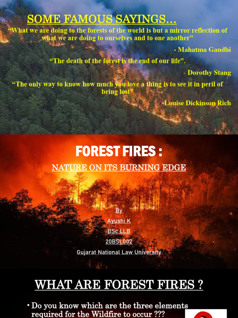 EVS Presentation | PDF