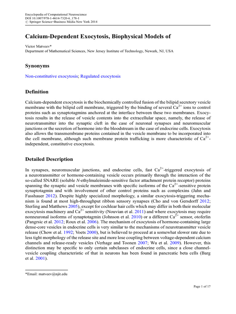 2014-Matveev-Biophysical-Models-Exocytosis | PDF | Chemical Synapse | Synapse
