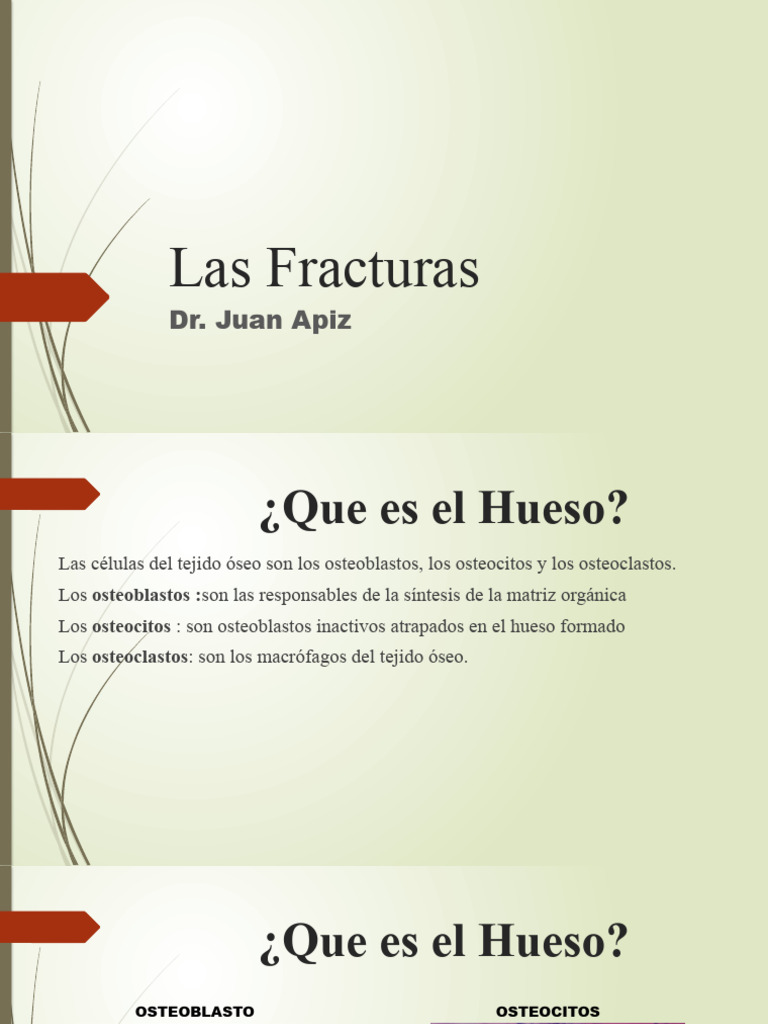 Fracturas | PDF | Hueso | Anatomía