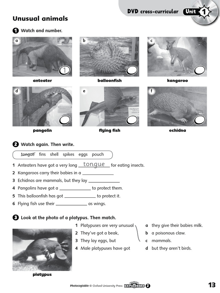 Yex 02 CC Worksheets DVD CC | PDF | Mammals | Paris