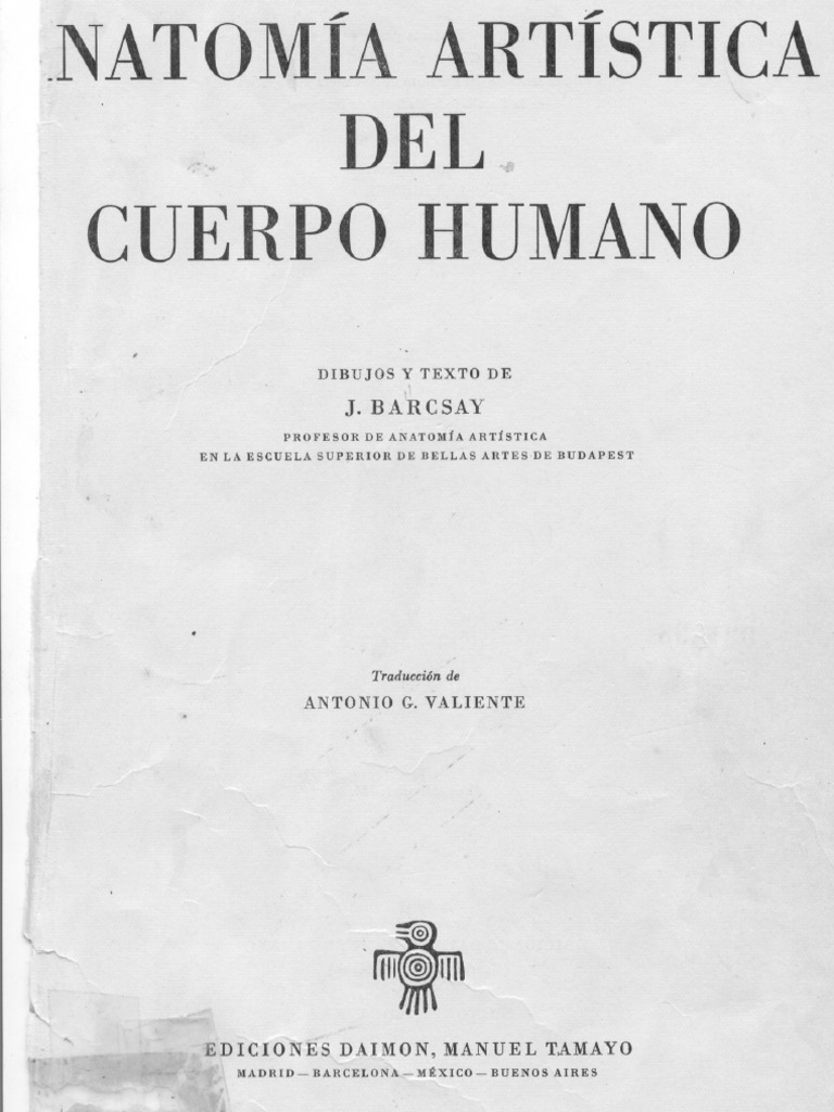 Anatomia Artistica Barcsay Pdf Pdf