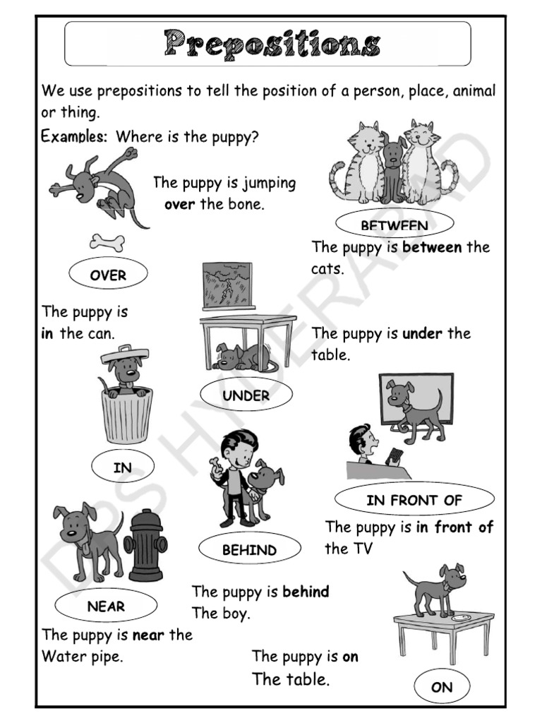 Grade 1 Prepositions GG1 | PDF
