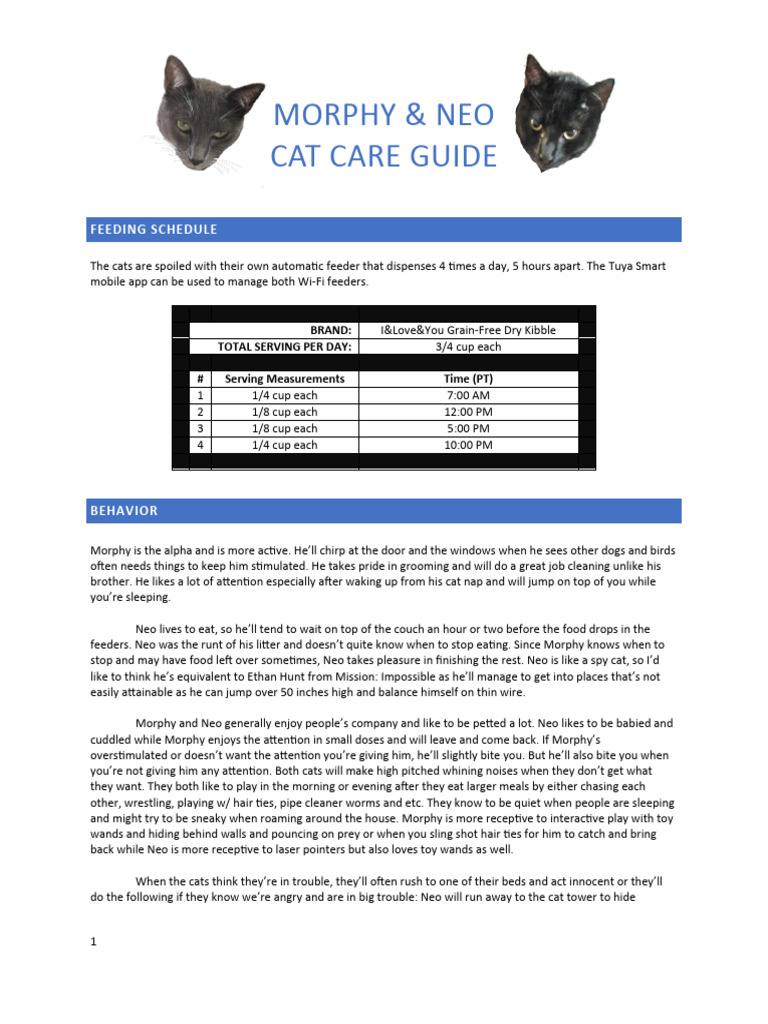 Cat Care Guide | PDF | Cats | Zoology