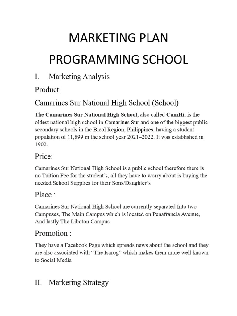 Marketing Plan Programming | PDF