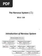 Lower Limb Neurological Examination OSCE Checklist Geeky Medics | PDF ...
