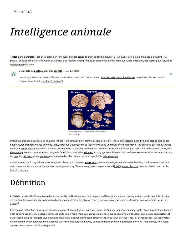 Intelligence Animale - Wikipédia | PDF