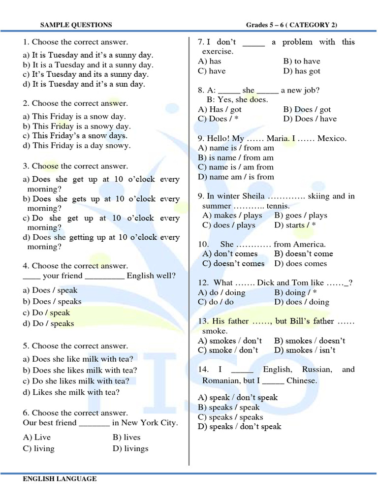 Grade 5-6 English Language Questions | PDF | Linguistics
