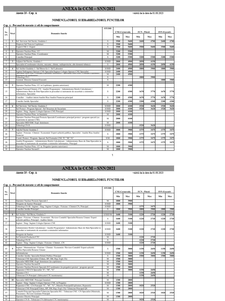 29.06.2023 _ Anexa 15- NIF Cap.a Pers Executie Si Sefi de Compartimente ...