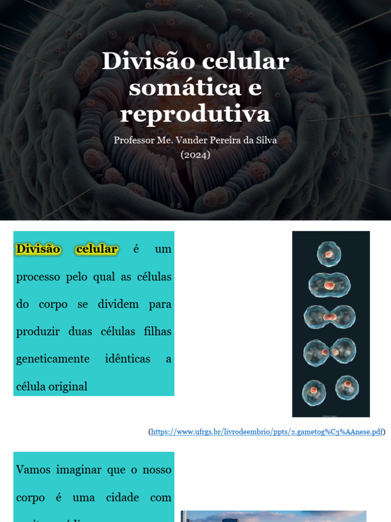 Aula Divisão Celular Pdf Meiose Recombinação Genética
