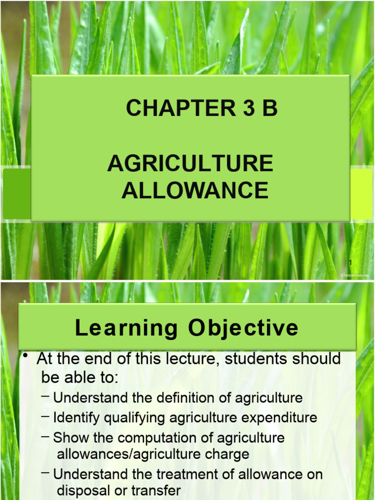 Chapter 3b - Agriculture Allowance | PDF | Agriculture | Expense