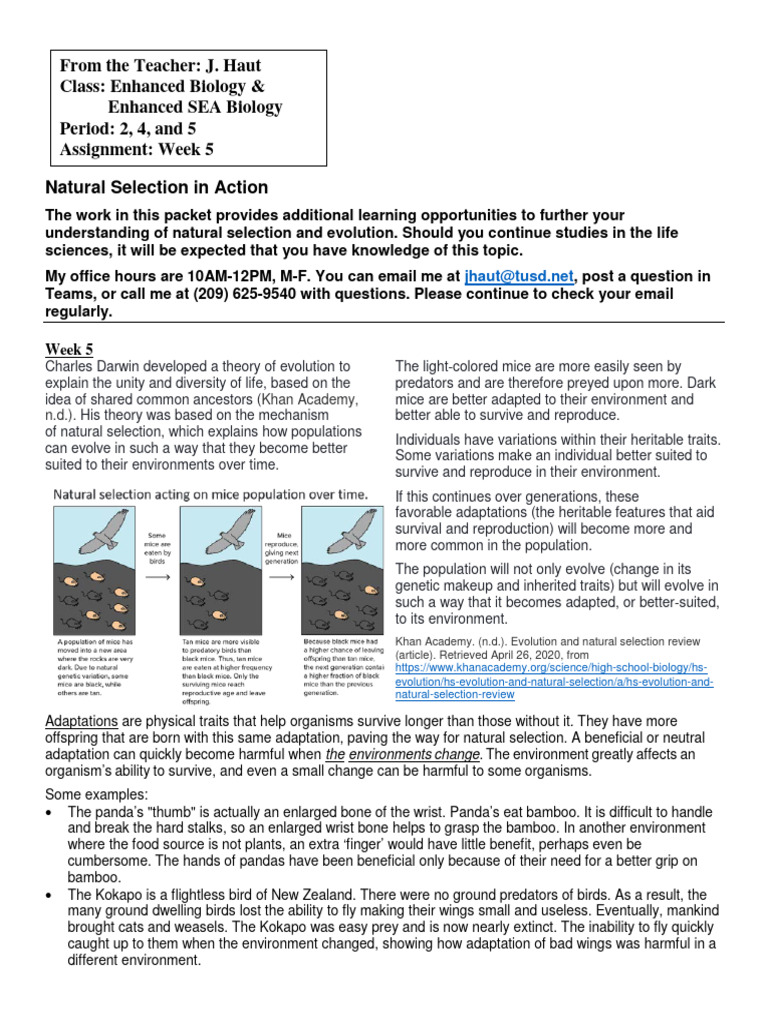 Understanding Natural Selection Concepts | PDF | Evolution | Natural ...