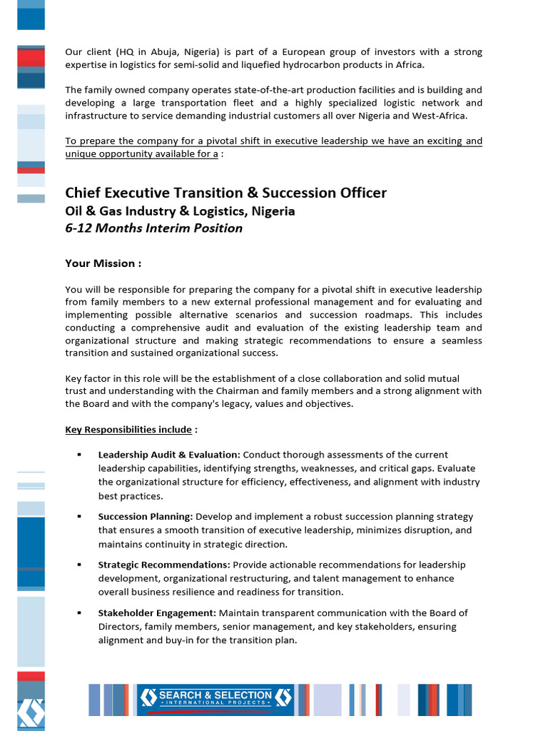 Chief Executive Transition Officer - 2024 | PDF | Leadership | Change ...