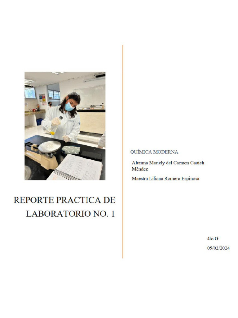 Reporte Practica de Laboratorio | PDF | Importar | Química
