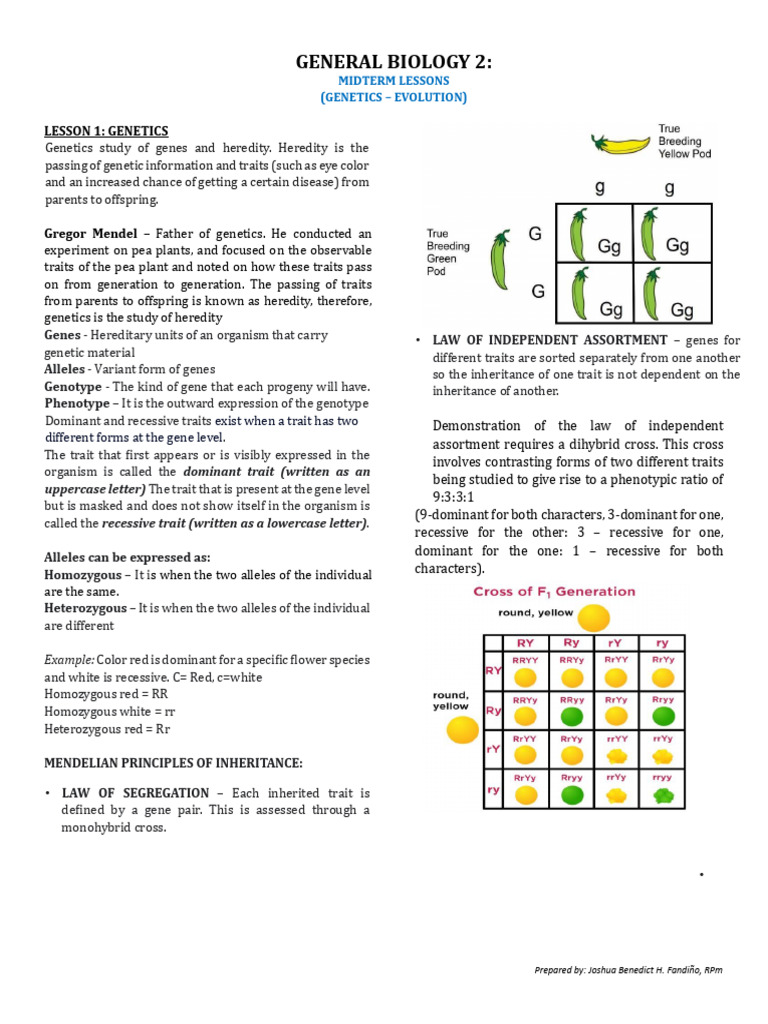 Gen Bio 2 Genetics To Evolution | Download Free PDF | Dominance (Genetics) | Dna