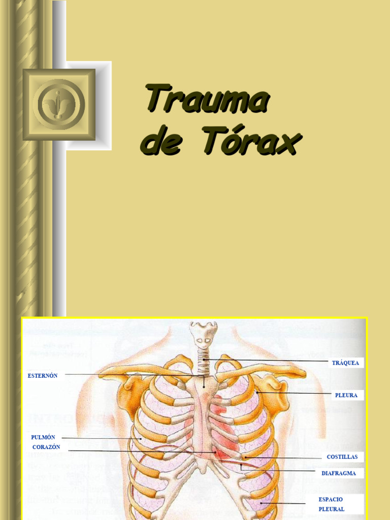 Trauma Toraco Abdominal | PDF | Tórax | Especialidades Medicas
