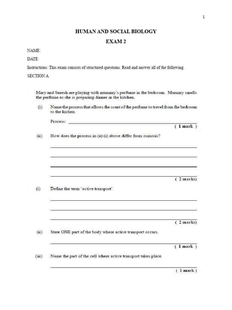 HSB EXAM 2 | PDF | Physiology | Medical Specialties