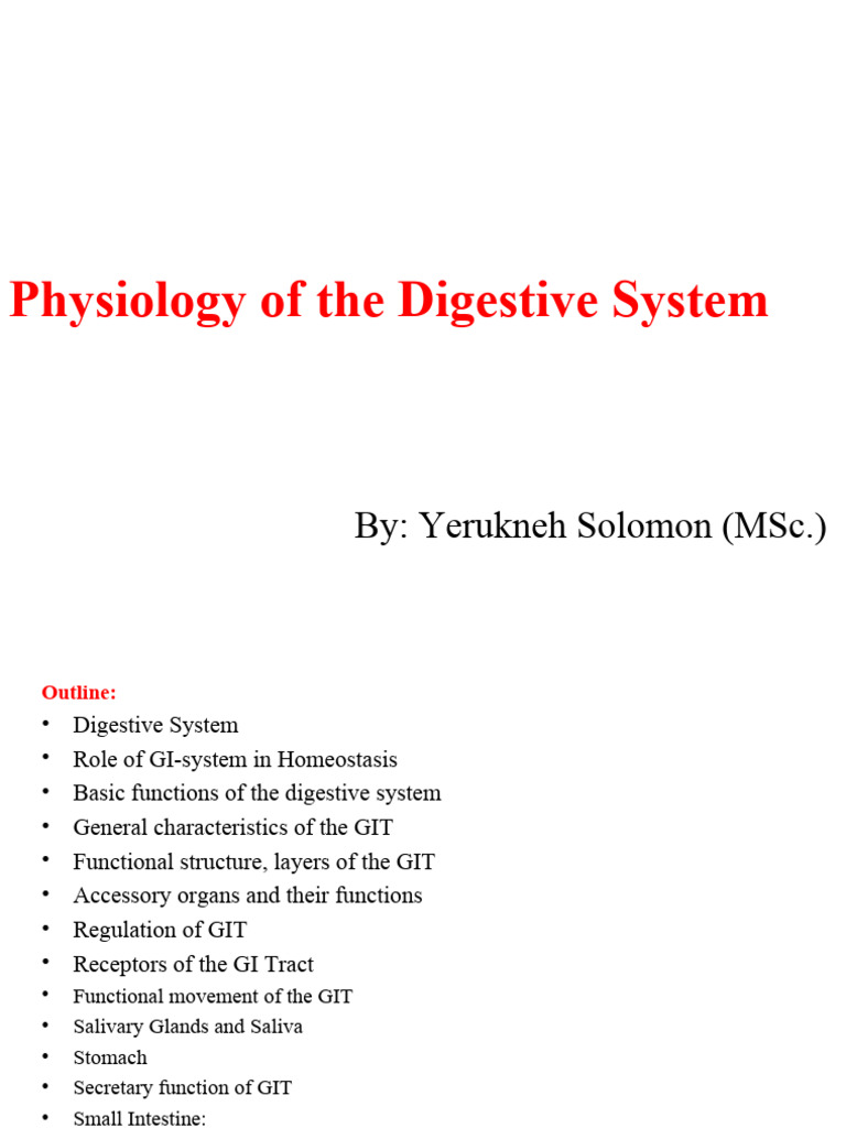 Digestive System Physiology Explained | PDF | Stomach | Liver