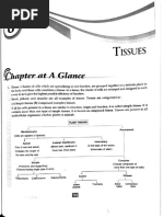 Padhle - Tissues - Class 9 Science Handwritten Notes | PDF
