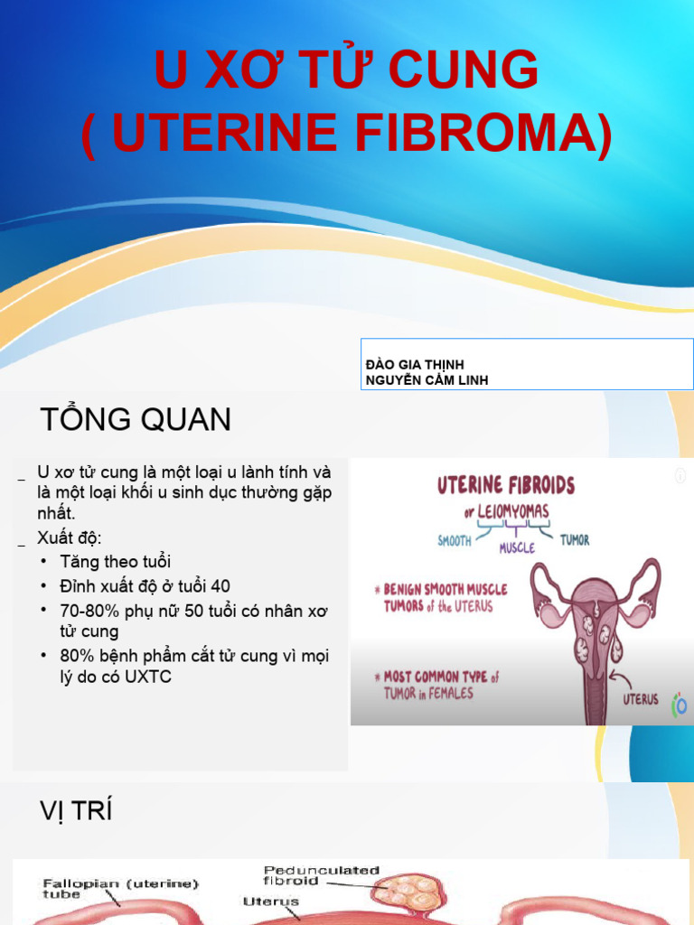 U XƠ T CUNG Edit | PDF