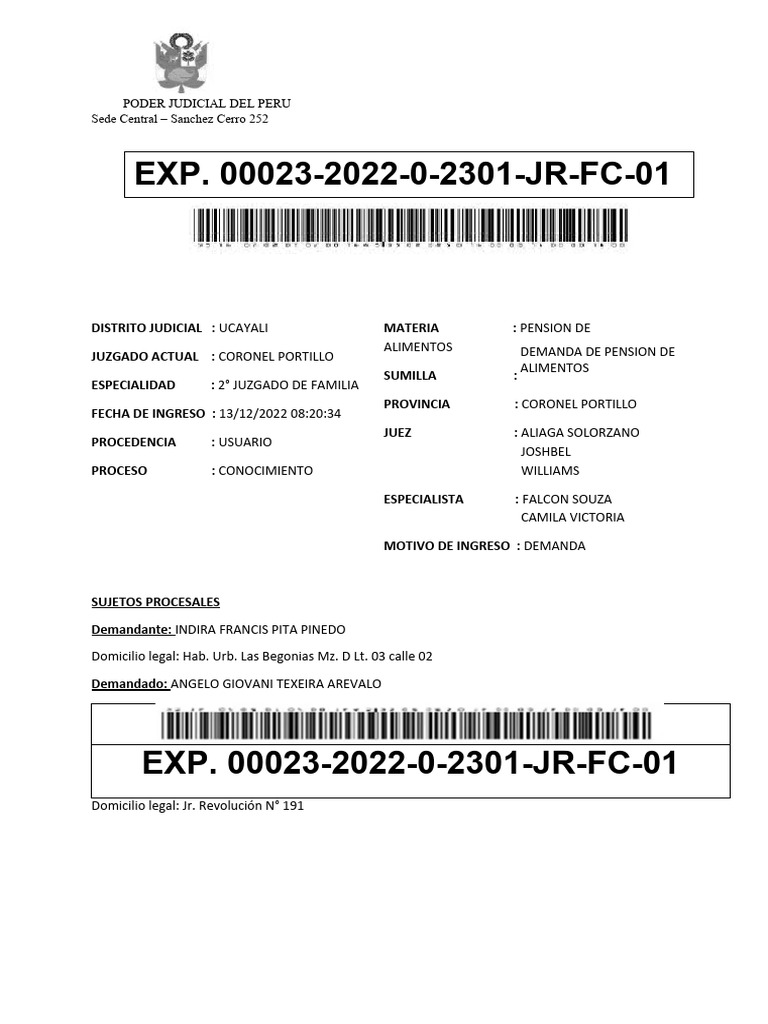 Caratula de Expediente | PDF