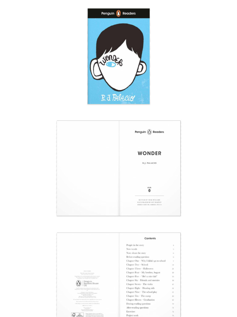 Wonder Level 3 | PDF