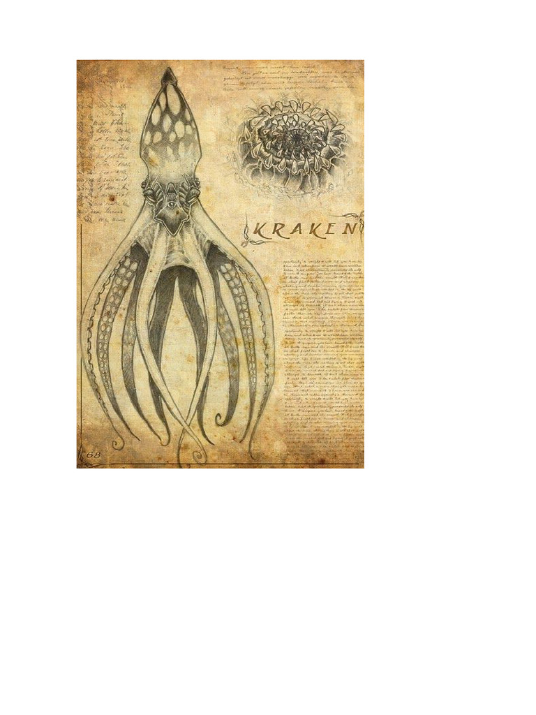 29 thee kraken | PDF