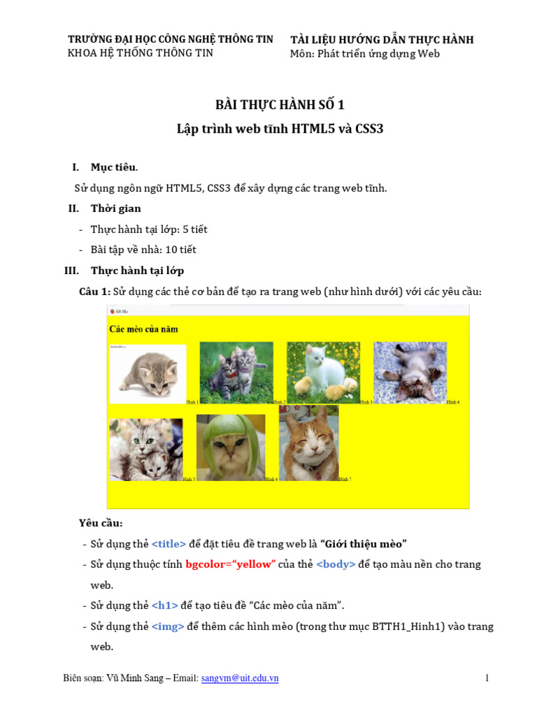 BTTH1 HTML CSS | PDF