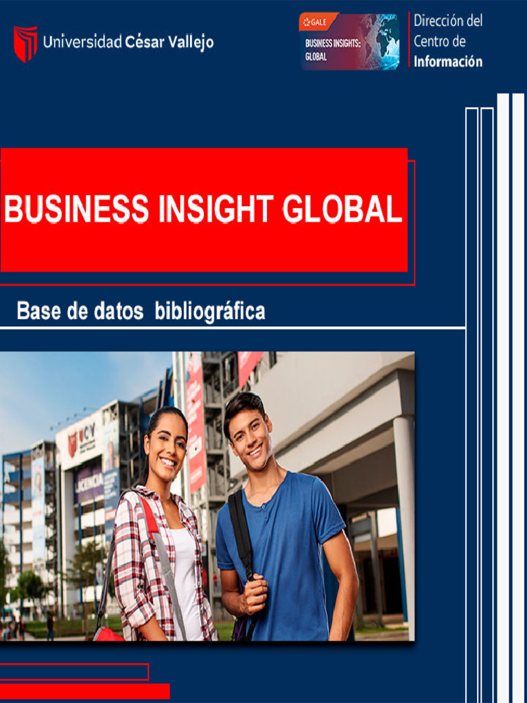 Guía de Uso de Business Insights Global | PDF | Informática | Software