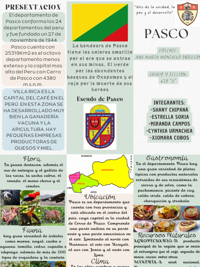 Tríptico Del Departamento de Pasco | PDF