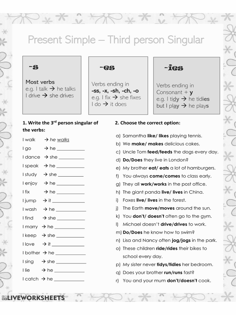 Presente Simple | PDF