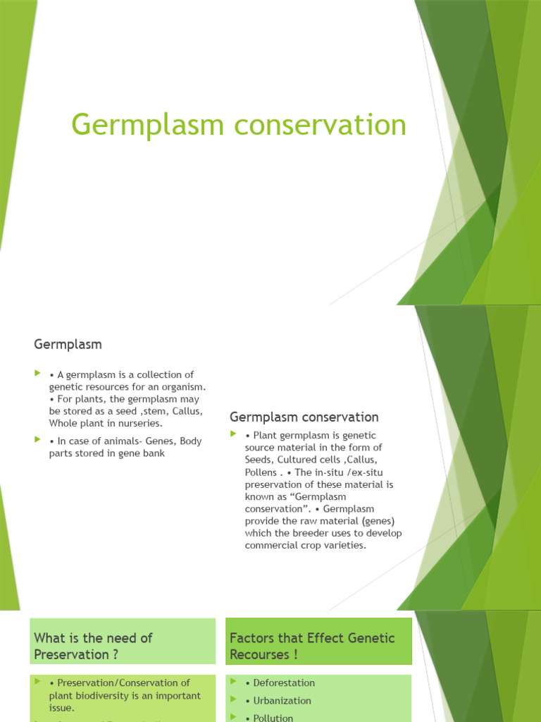 Germplasm Conservation | PDF | Conservation Biology | Habitat Destruction