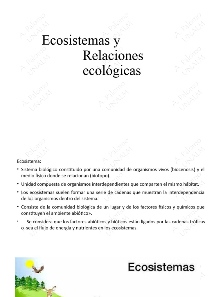 pt3 - RELACIONES ECOLOGICAS | Descargar gratis PDF | Ecosistema | Biología